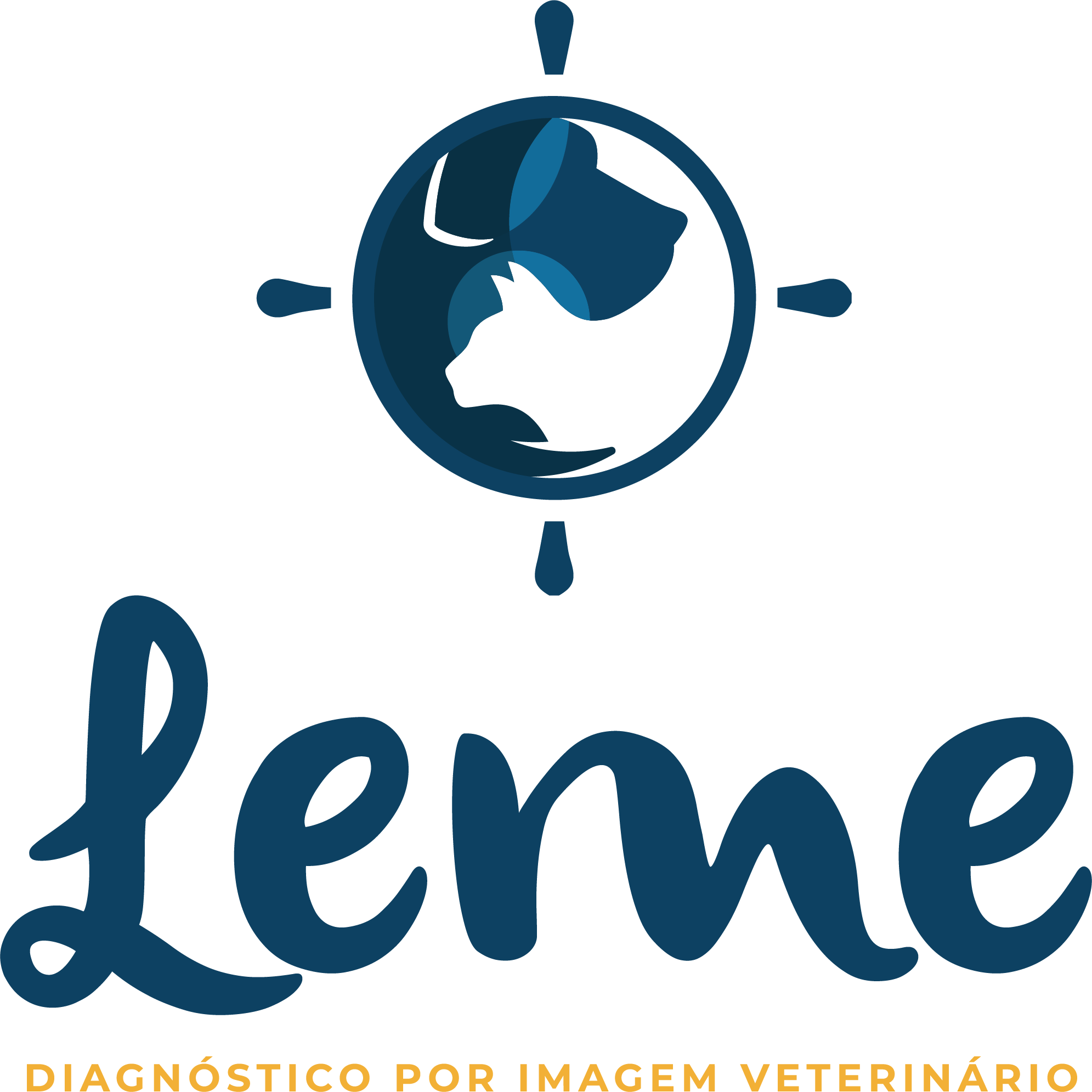 Solicitação de Exame - Ultrassom